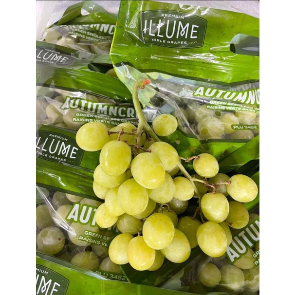 Jual Anggur Hijau Autumn Crispy USA 1 Dus (8.5 KG) Fresh Import ...