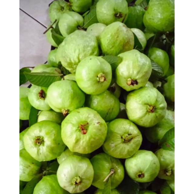 Jual JAMBU CRYSTAL , SAWO MADU , KELENGKENG BANGKOK, BUAH NAGA, BUAH ...