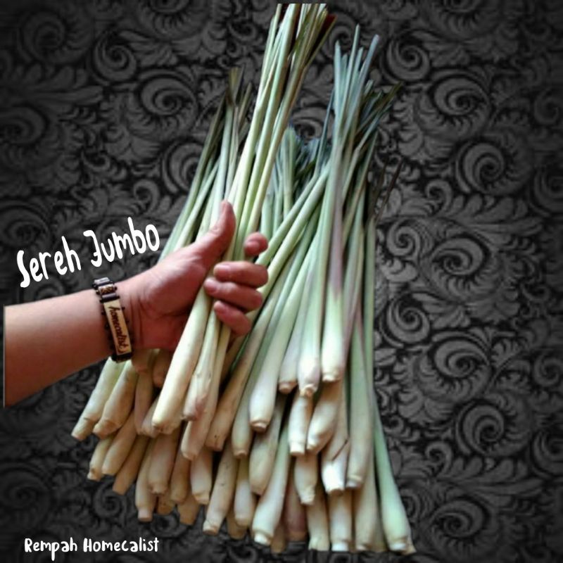 Jual Sereh Segar 1kg Serai Jumbo | Shopee Indonesia
