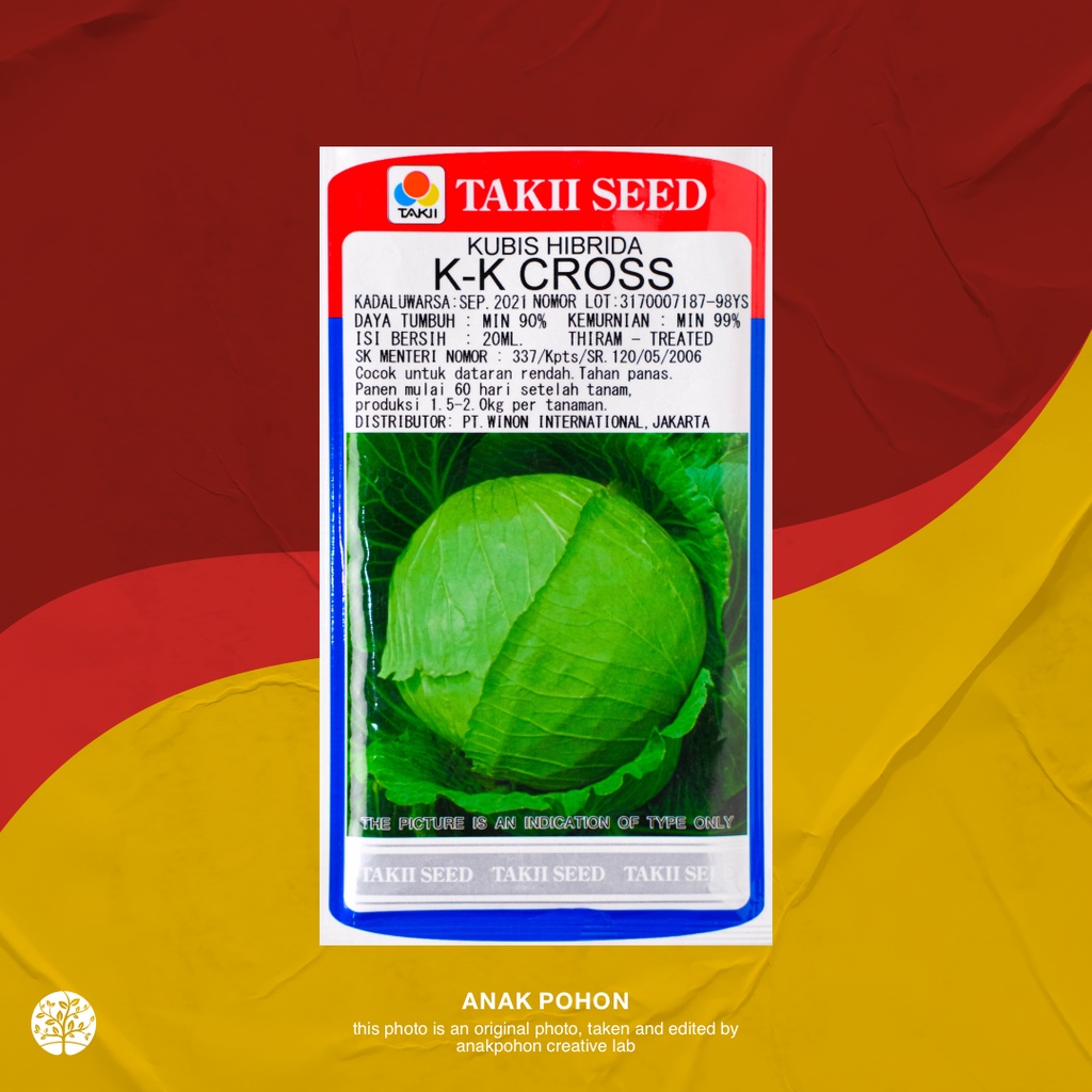 Jual (1 PACK) Benih Kubis KK Cross Kol Hijau Cabbage F1 Hibrida Seeds ...