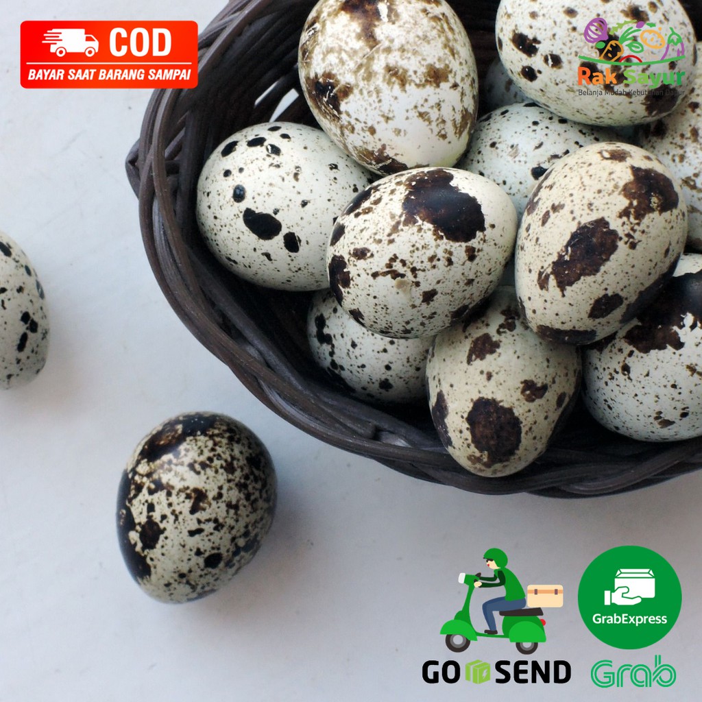 Jual Telur Puyuh per Kotak Mika isi 17 Butir Ikan Daging Segar Rak ...