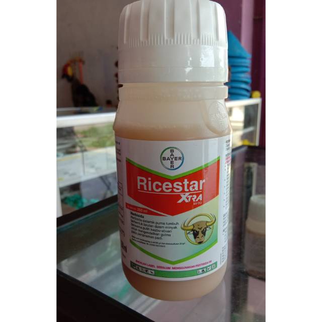 Jual Herbisida ricestar xtra 89 od 250 ml bayer | Shopee Indonesia