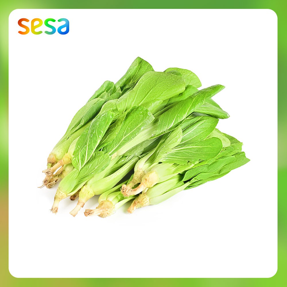 Jual Baby Pak Choi (Pakcoy) Organik 200 g | Shopee Indonesia