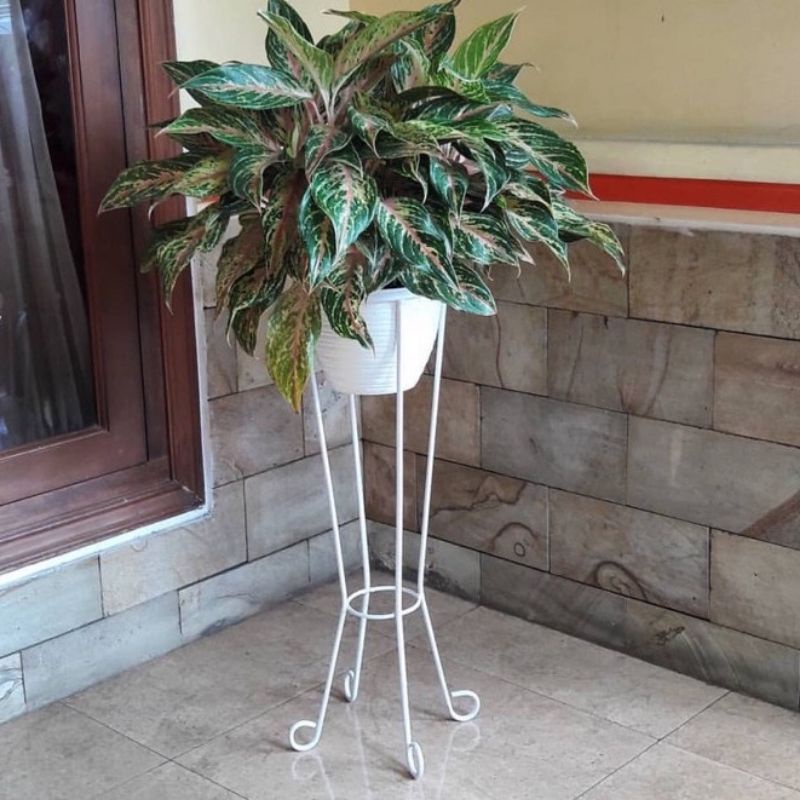 Jual standing pot besi/ standing pot diameter 18cm/ standing pot besi ...
