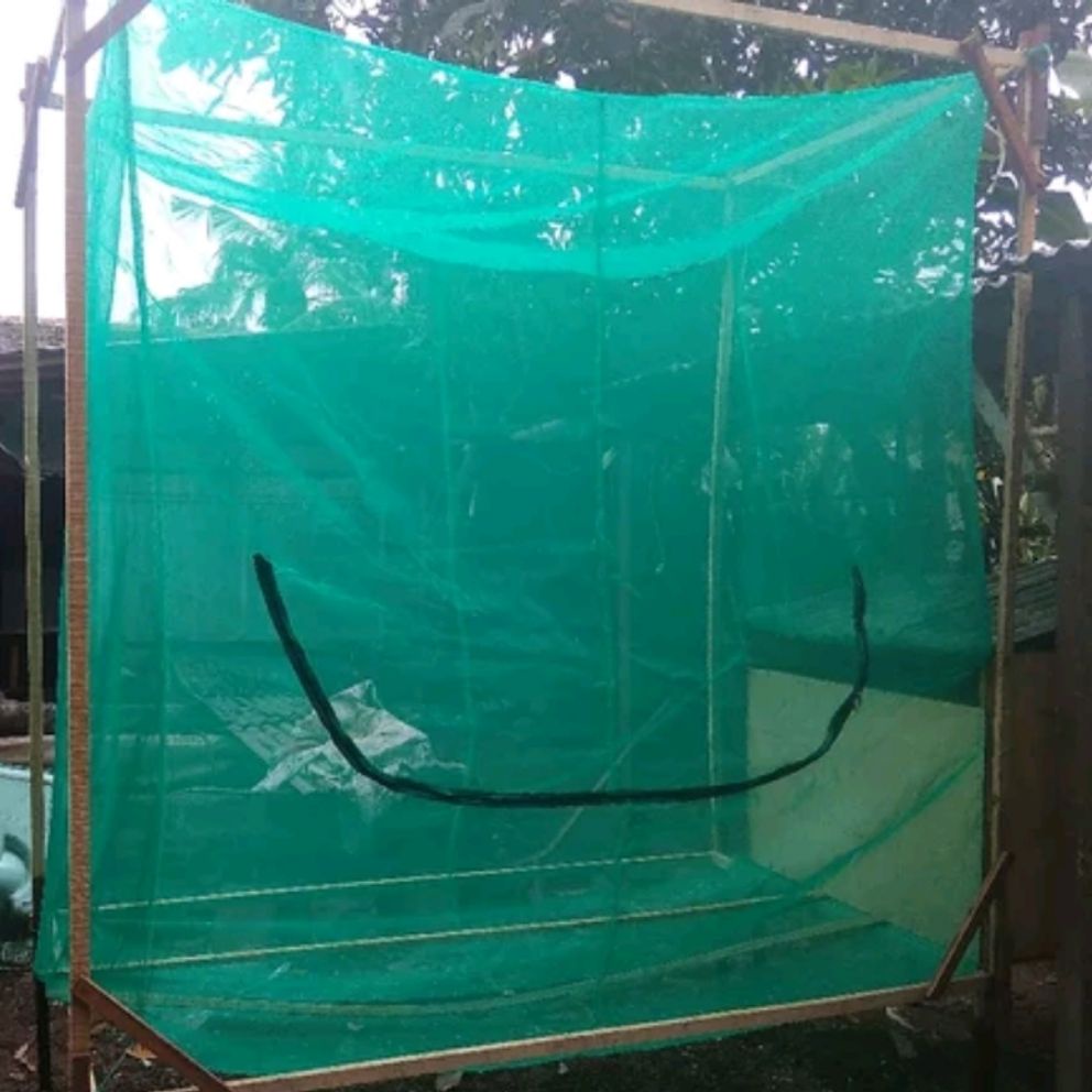 Jual Kandang Lalat Bsf 4 x 1 x 2 Meter - Maggot BSF kandang lalat bsf ... Jual Kandang Lalat Bsf 4 x 1 x 2 Meter - Maggot BSF kandang lalat bsf ...