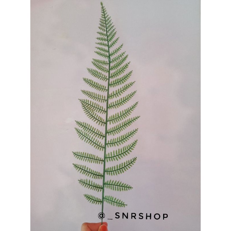 Jual Daun Pakis lebar Artifisial Properti Foto 60cm | Shopee Indonesia