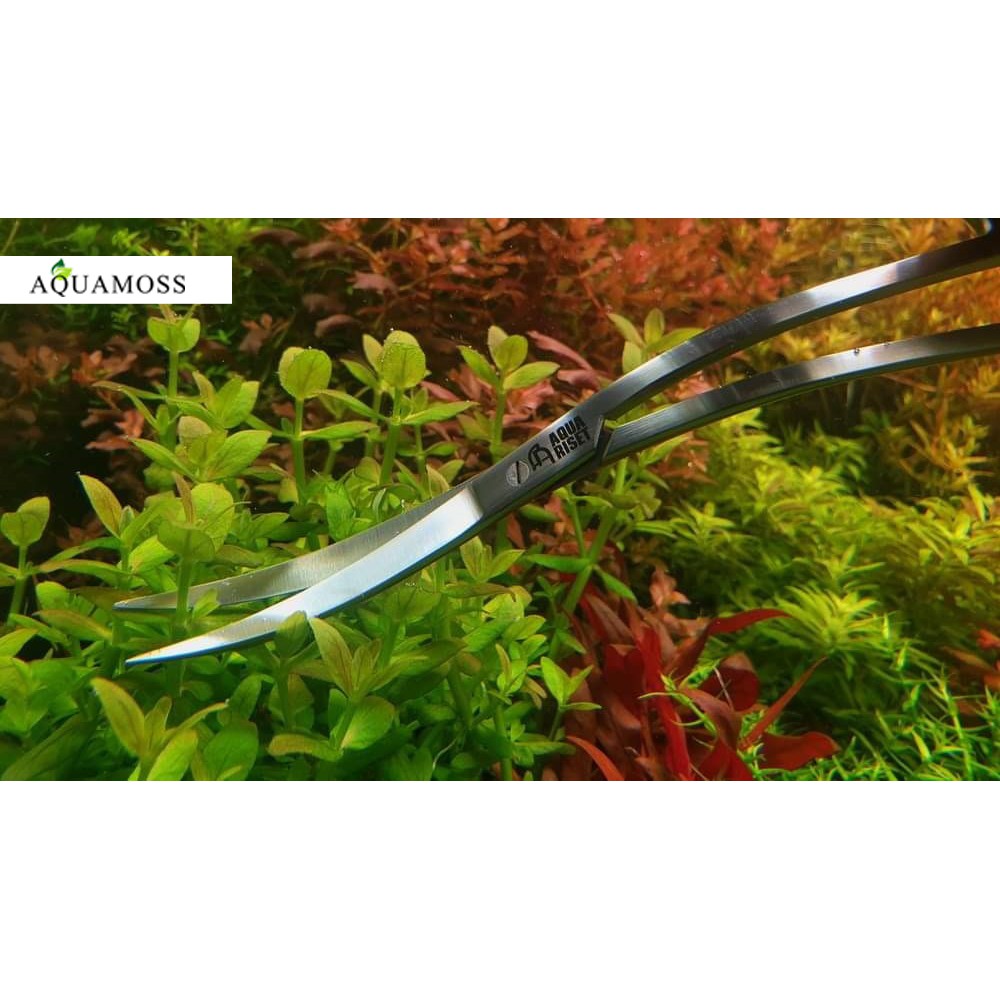 Jual Aquariset Ultimate Tools Wave Scissors Gunting Ombak aquascape | Shopee Indonesia