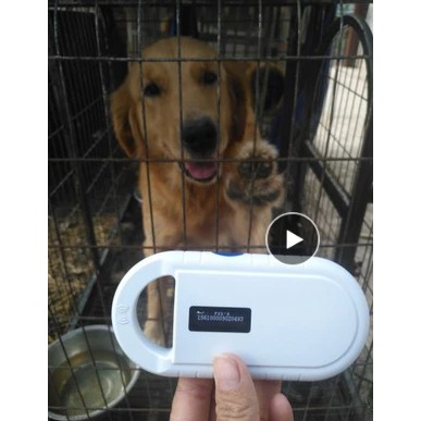 Jual animal ear tag scanner reader chip microchip micro chip hewan id ...