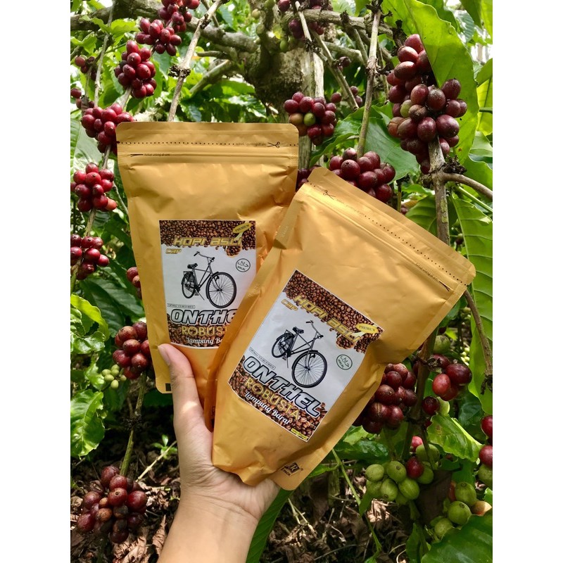 Jual Kopi Robusta 100% ASLI Lampung Barat 200 gram | Kopi Lampung ...