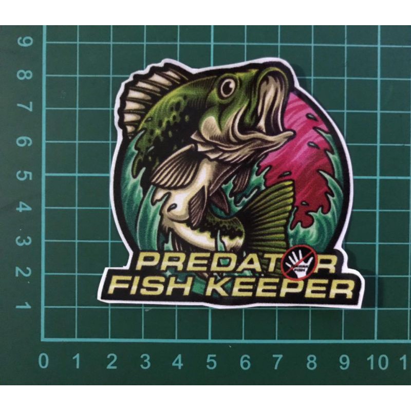 Jual STIKER AQUARIUM IKAN PREDATOR | Shopee Indonesia