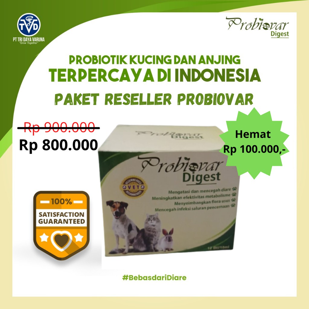 Jual Probiovar Obat Mencret Diare Anjing Kucing Kelinci Herbal, Natural ...