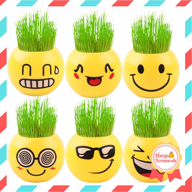 Jual Harga termurah - 8074 Pot Emoji Emoticon / Tanaman Hias Rumput ...
