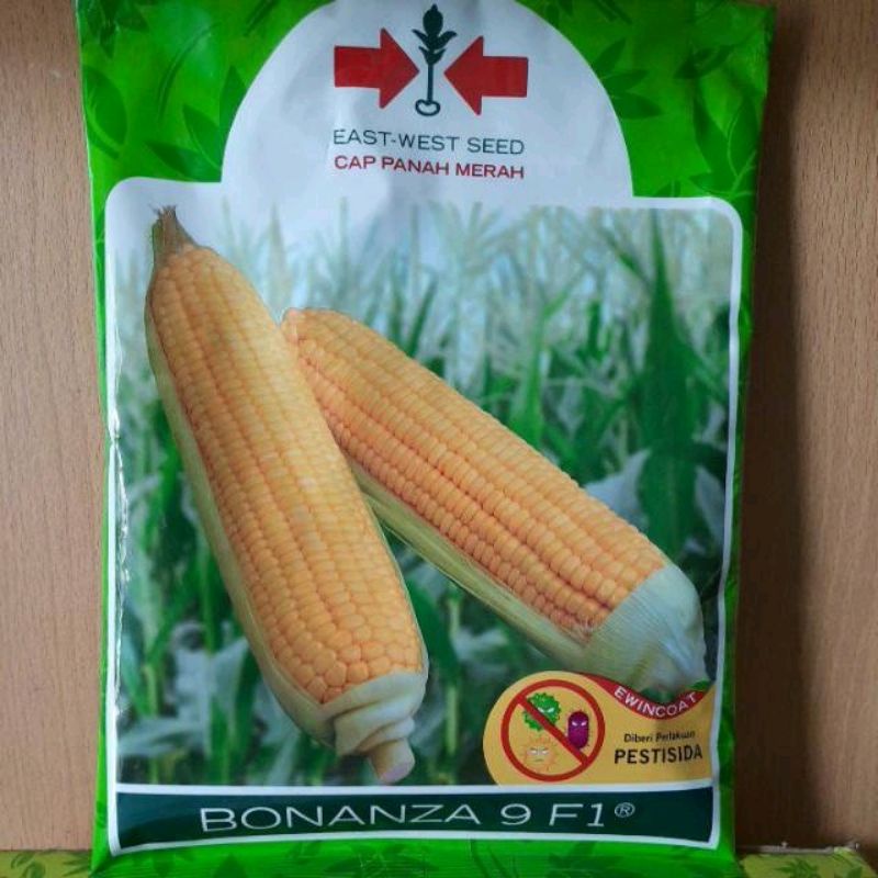 Jual benih jagung manis hibrida BONANZA 9 F1 (200gr) Cap Panah Merah | Shopee Indonesia