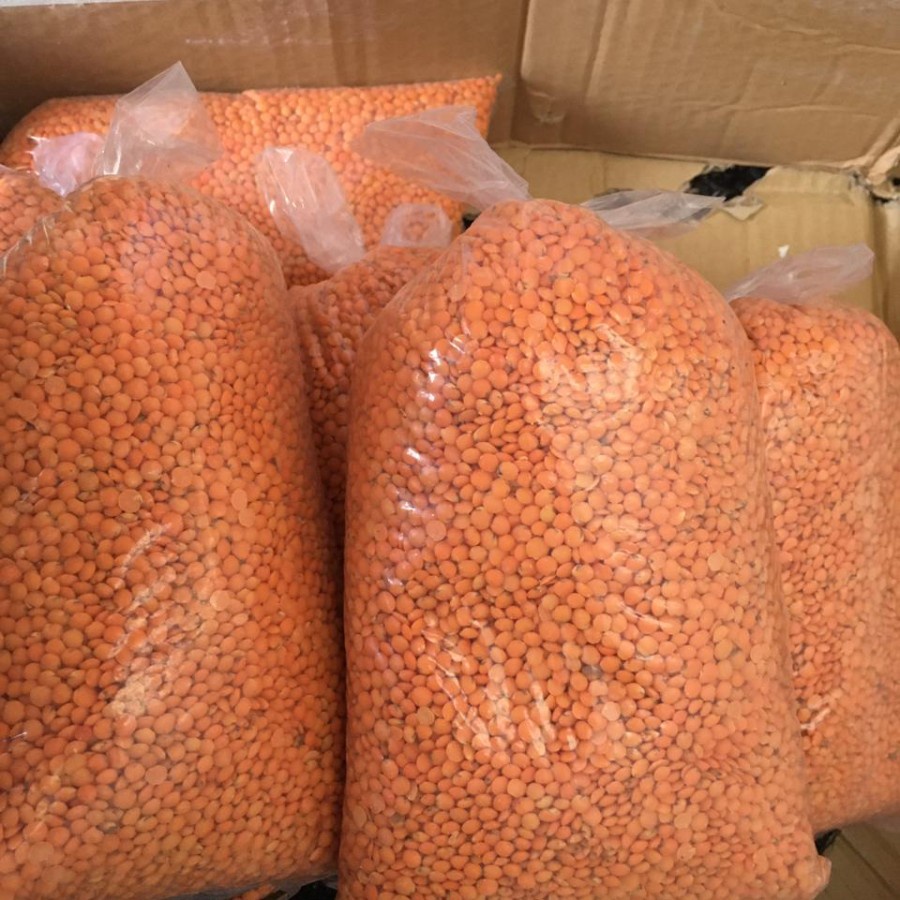 Jual Red Lentils / Lentil 1kg Kualitas Super Lentil Merah | Shopee Indonesia