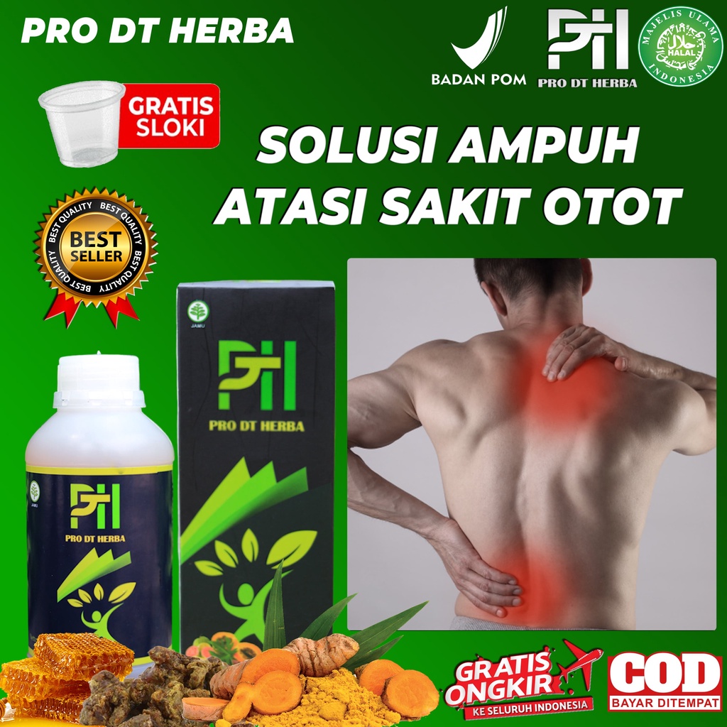 Jual obat sakit otot, sakit otot dan sendi, Sakit pinggang, sakit otot ...