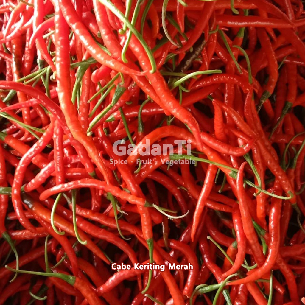 Jual Cabe Merah Keriting Segar 1Kg | Shopee Indonesia