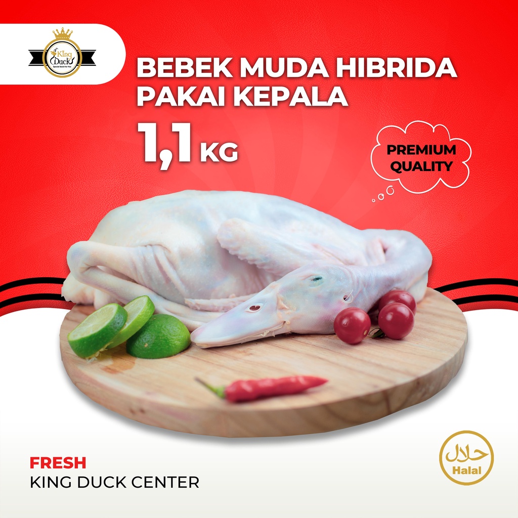 Jual BEBEK HIBRIDA UTUH PAKAI KEPALA KAKI UKURAN 1,1 - 1,5 KG | Shopee ...