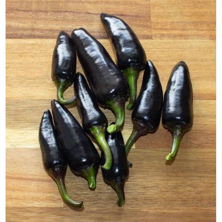 Jual isi paket 5 Benih CABE HITAM Black Royal Pepper Biji Cabai ...