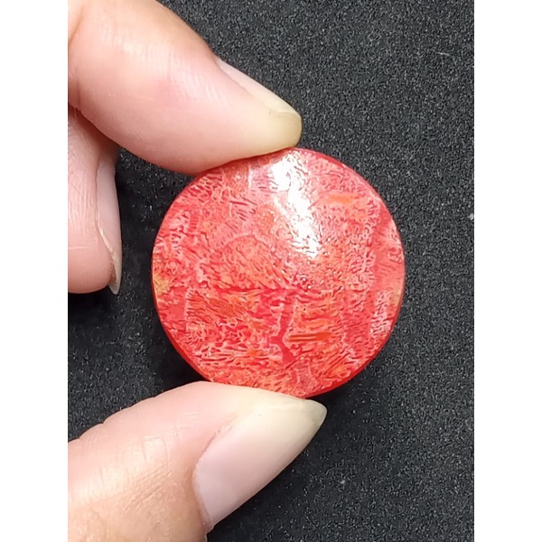 Jual Natural red coral (marjan karang merah) | Shopee Indonesia