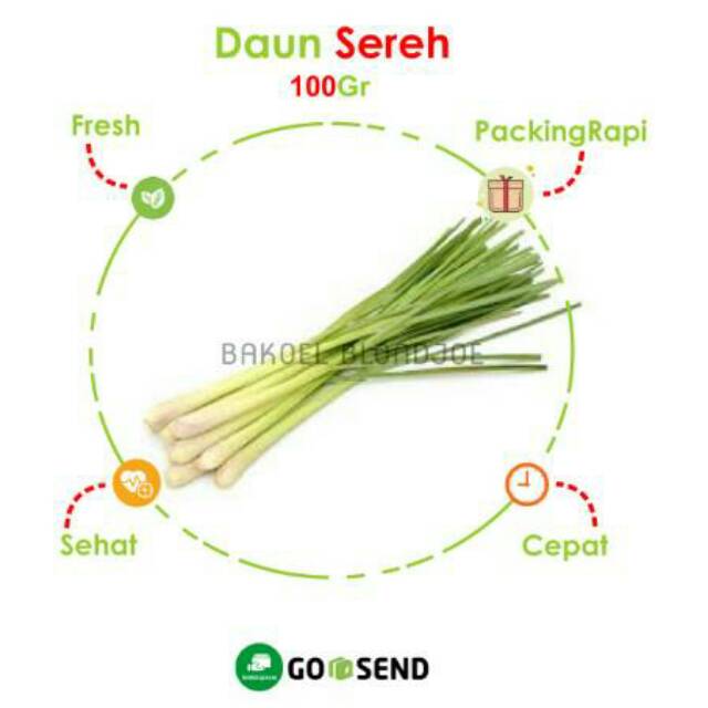 Jual DAUN SERE SEREH SERAI 1KG / LEMONGRASS / FRESH VEGETABLES ...