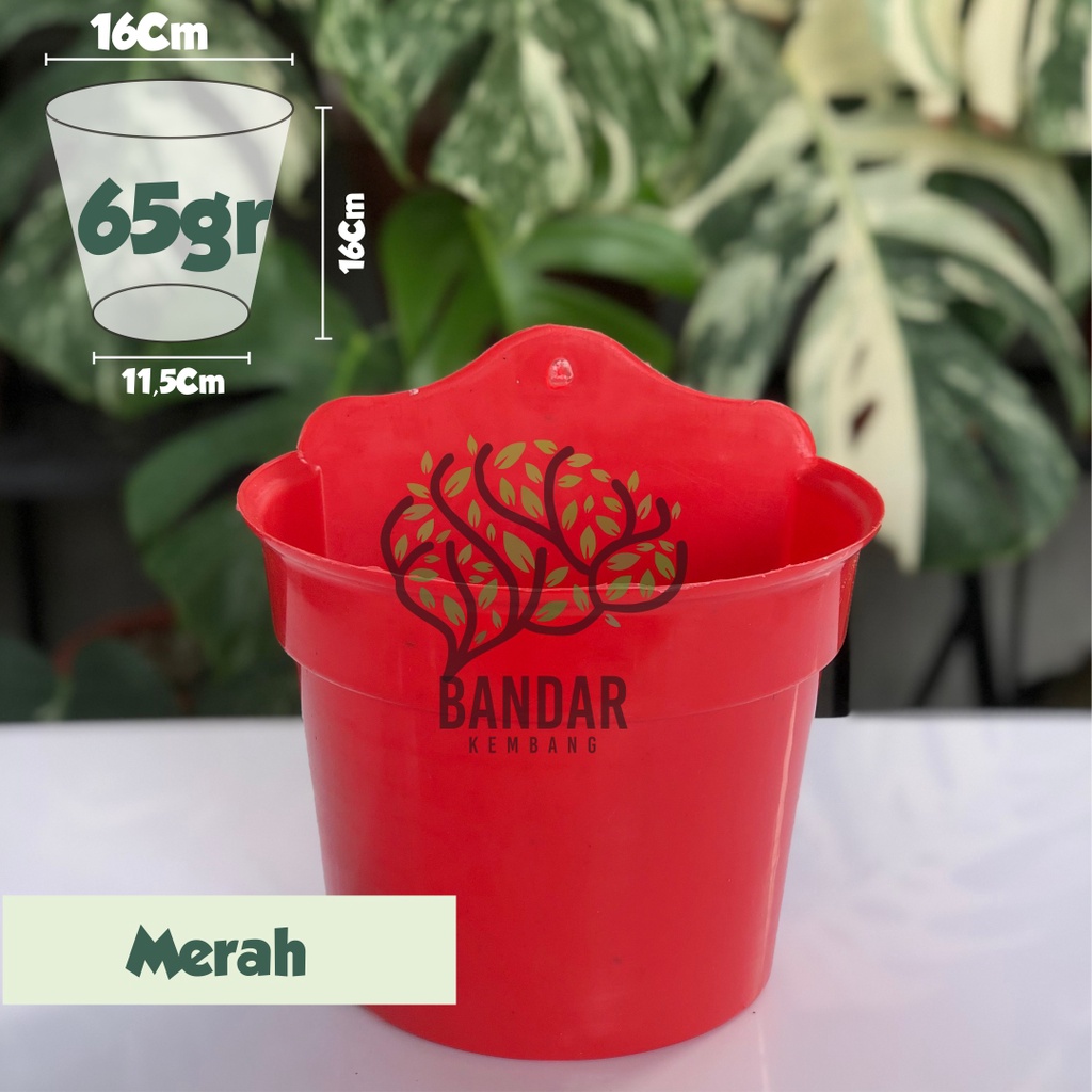 Jual Pot Dinding Monstera 18 CM - Pot Dinding Tempel Murah - Pot Tempel ...
