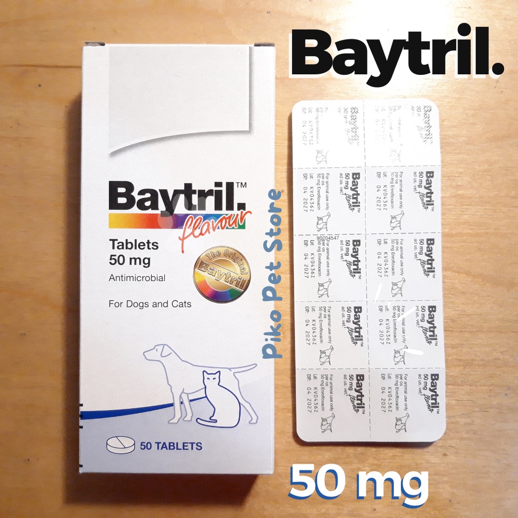 Jual Baytril cat dog 50mg 50 mg Baytril antibiotik Kucing Anjing ...