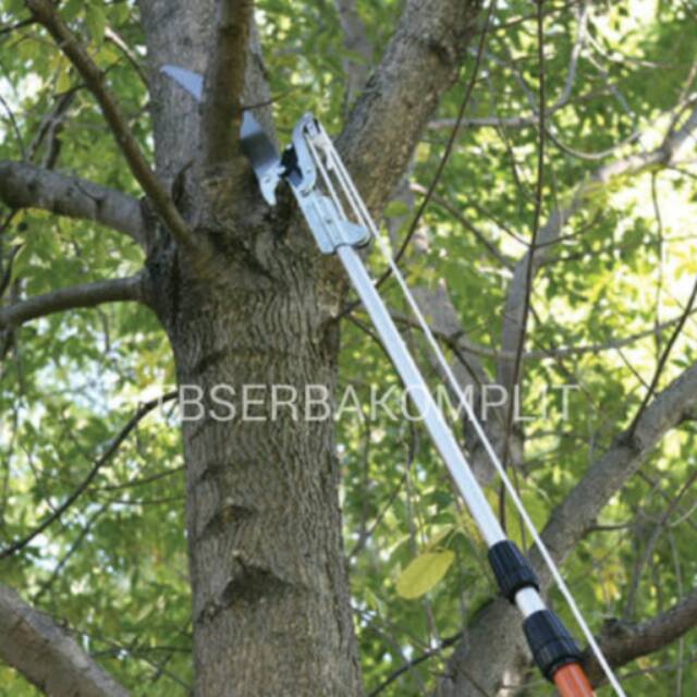 Jual Gergaji Dahan Gergaji Pohon Gunting Galah Gunting Tarik Tree Pruner Sellery | Shopee Indonesia