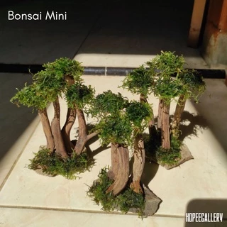 Produk Hopee Gallery | Shopee Indonesia