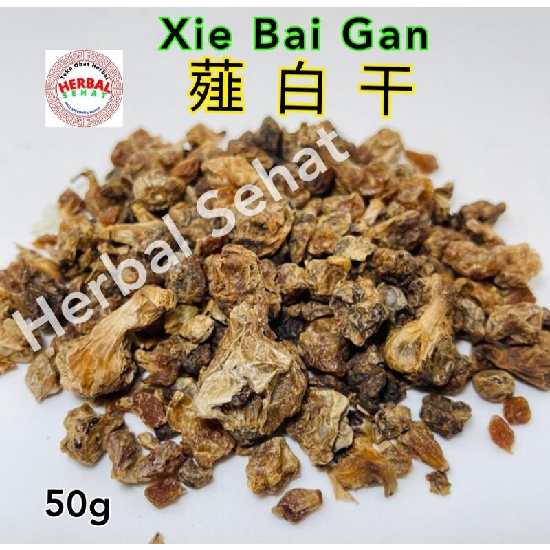 Jual Xie Bai 薤白 叩白干 Kou Bai Gan Allii Macrostemi (50 gram) | Shopee ...
