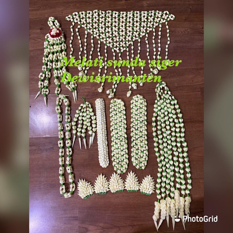 Jual melati pengantin Sunda/melati Sunda siger/melati sunda | Shopee ...