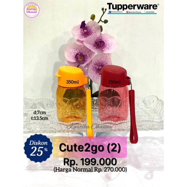 Jual Tupperware Cute2go Diskon 25% Botol Minum, Tempat Minum Mini, Minuman Ringan, Tempat Minum ...