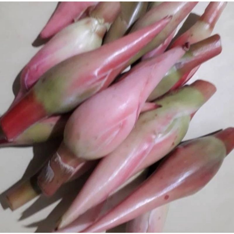 Jual Kencong Merah Berat 500 g (Pengiriman Medan) | Shopee Indonesia