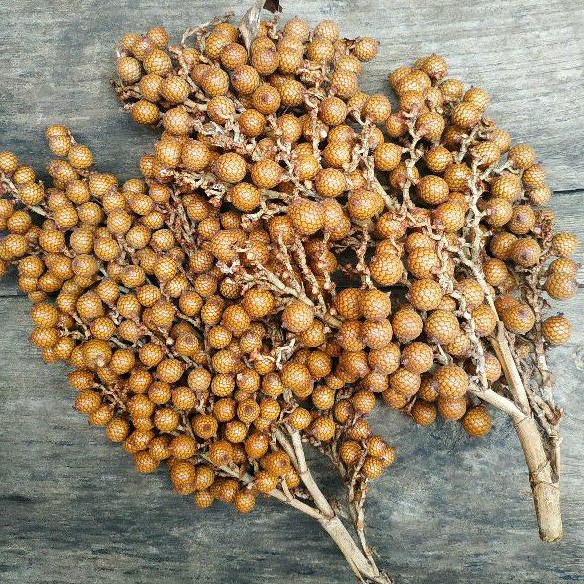 Jual Biji rotan bulat (isi 20) kerajinan craft | Shopee Indonesia