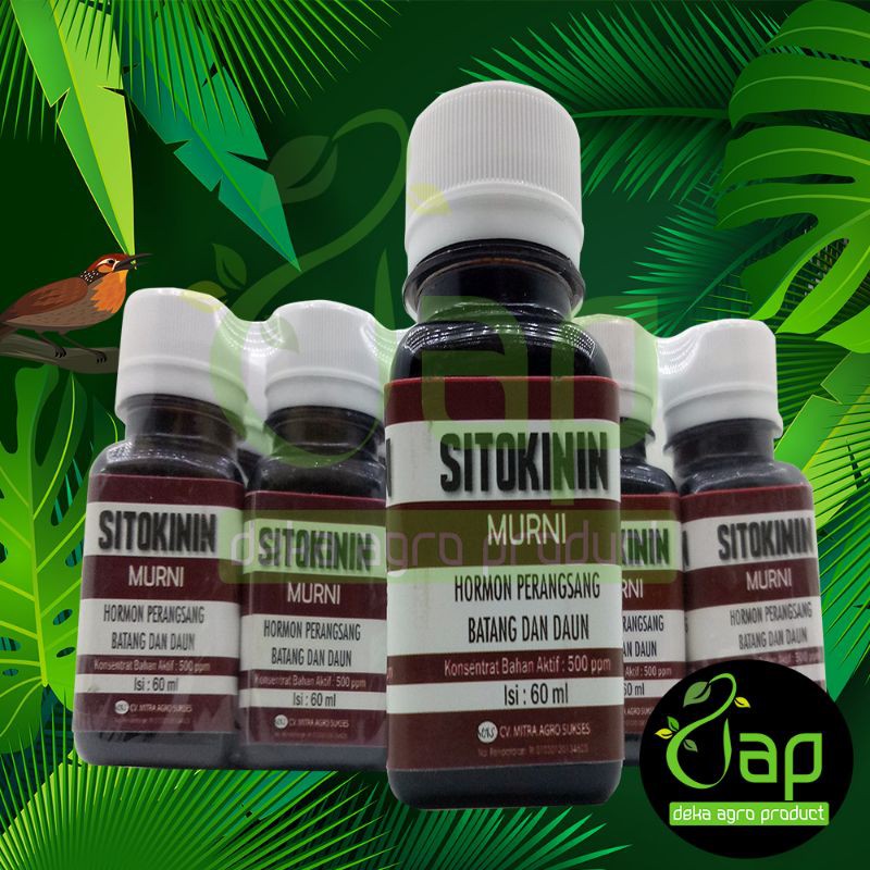 Jual PROMO HORMON PERANGSANG BATANG DAN DAUN SITOKININ 60ML murni ...