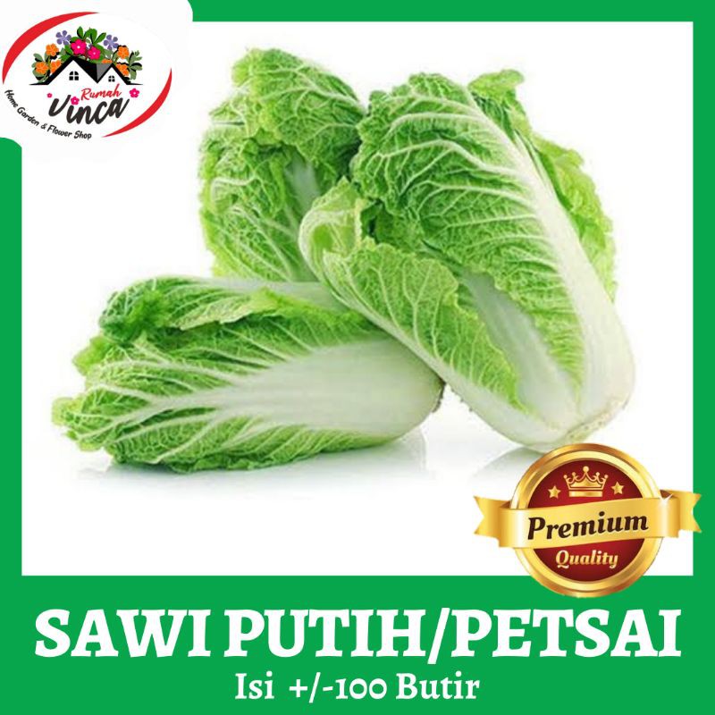 Jual Benih Bibit Sawi Putih Petsai Selobor F1 isi 100 Butir Biji ...
