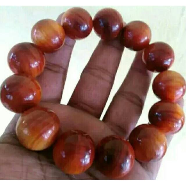 Jual Gelang Super Kayu Agathis KAYU RAJA TEMBUS 18mm | Shopee Indonesia
