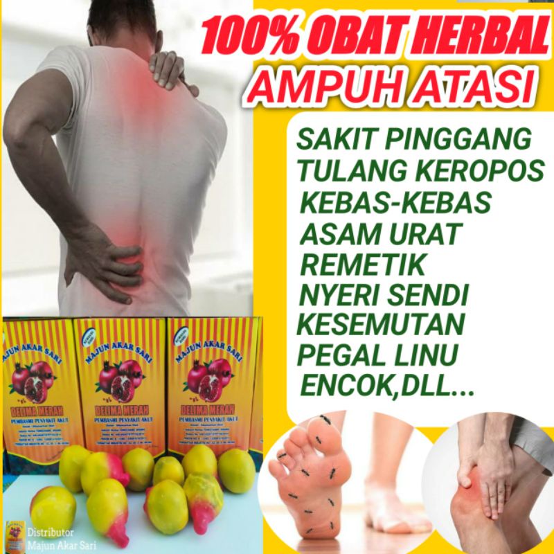 Jual MAJUN AKAR SARI DELIMA MERAH Obat Herbal Asam Urat Rematik Nyeri ...