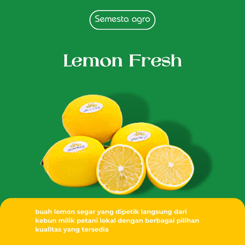 Jual LEMON LOKAL SEGAR (1 Kg) | Fresh dan Alami dari Kebun Sendiri ...