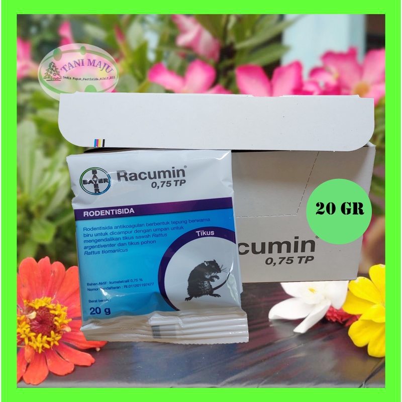 Jual Racun Tikus Bubuk RACUMIN Sachet 20 Gram | Shopee Indonesia