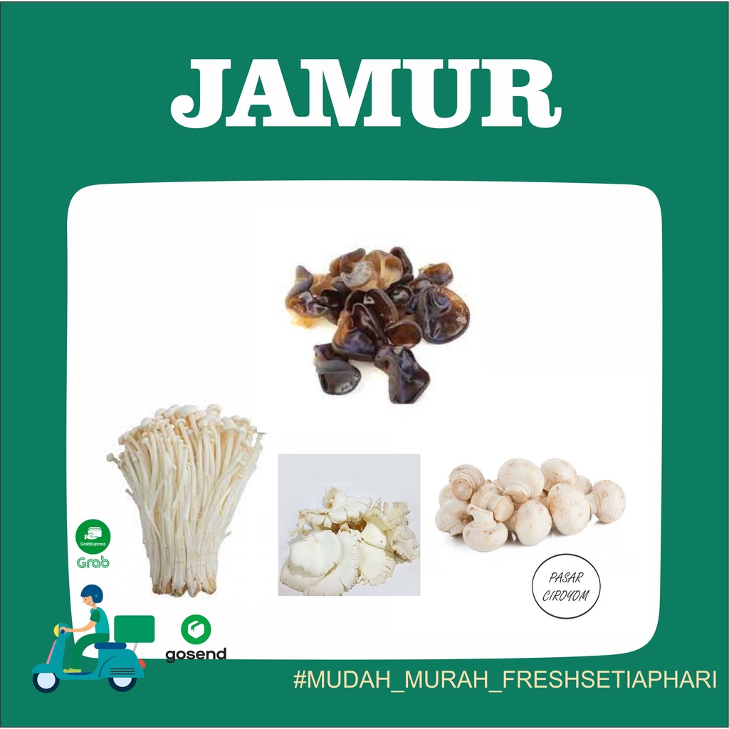 Jual JAMUR ENOKI / JAMUR TIRAM / JAMUR KANCING CAMPIGNON / JAMUR ...