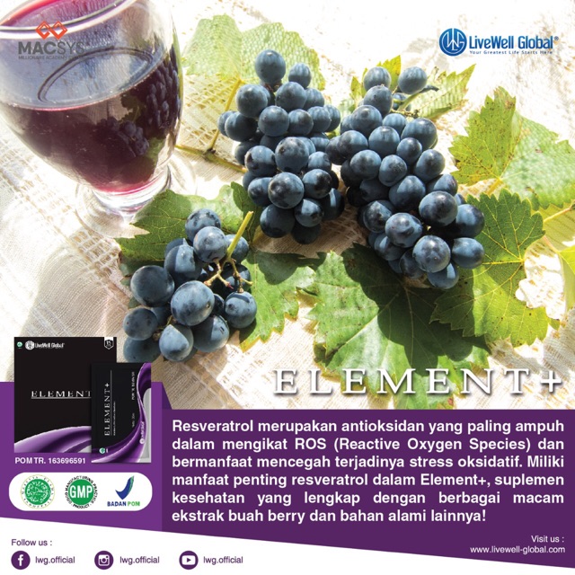 Jual Element plus | Shopee Indonesia