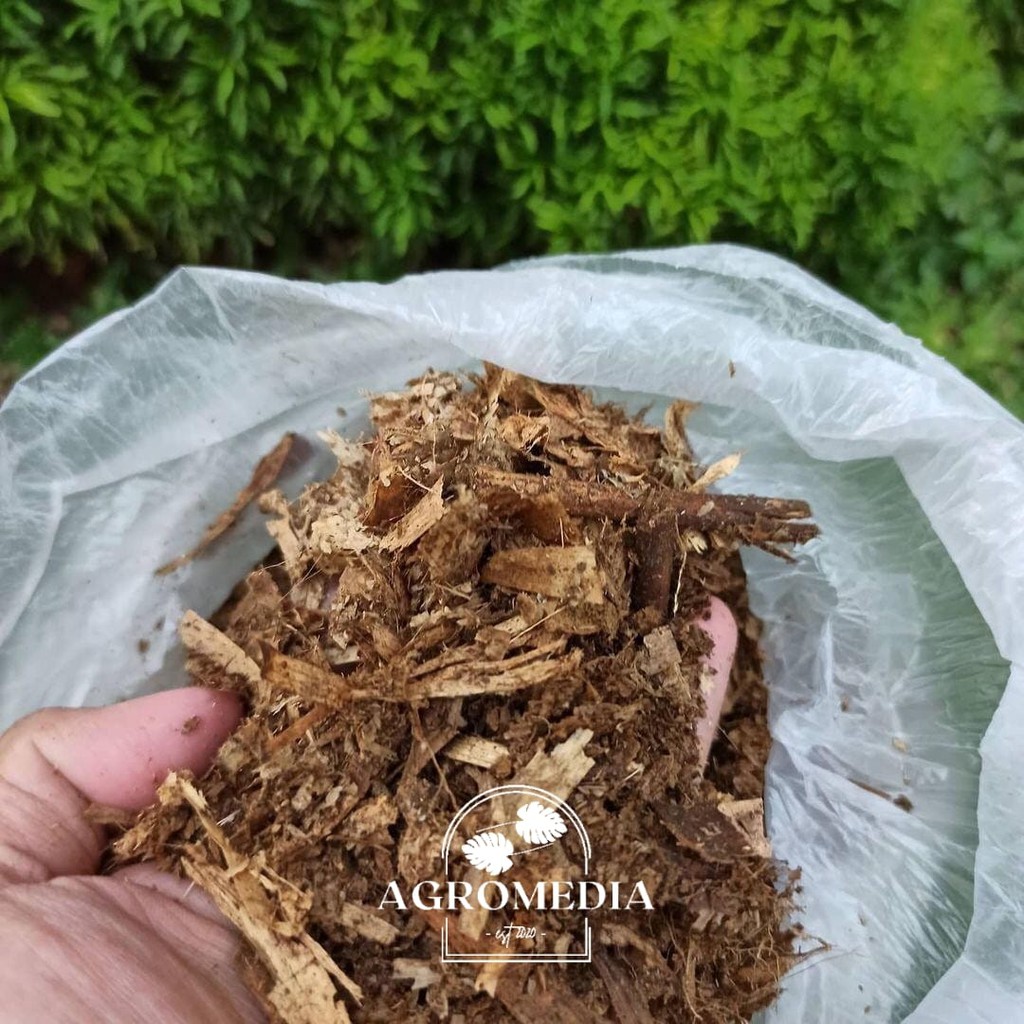 Jual Penyubur Tanaman Andam Bambu Murni 1kg | Shopee Indonesia