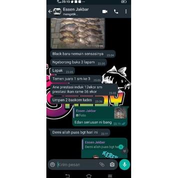 Jual Black Gacoy Oplosan Terbaik Lomba Ikan Mas,Galapung,Galatama,Cocok Semua Media Umpan ...