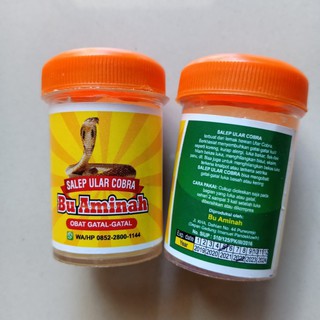 Jual Salep Ular Cobra Asli dari Ular Kobra Original Obat Gatal Kadas ...
