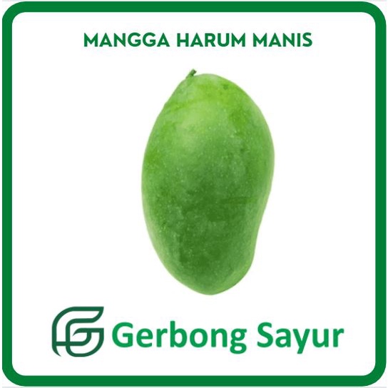 Jual Buah Mangga Harum Manis / Harummasnis / Harumanis Segar - 1 Kg ...