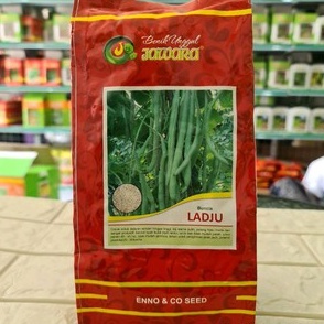 Jual Benih Bibit Buncis Biji Putih LADJU 500 gr | Shopee Indonesia