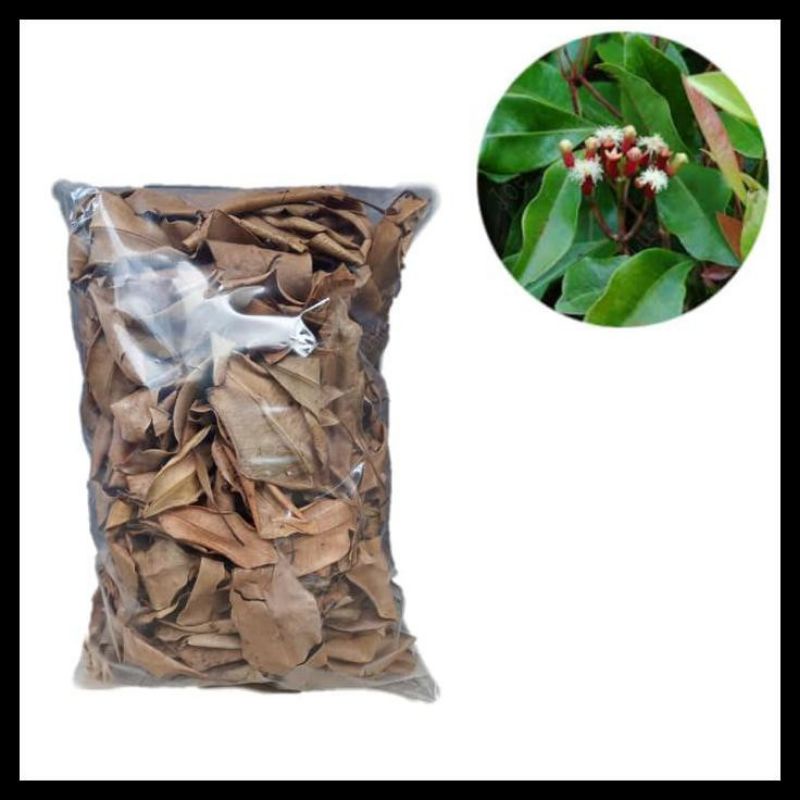 Jual DAUN CENGKEH KERING 1KG MURAH KWALITAS TERBAIK, OBAT HERBAL, OBAT ...