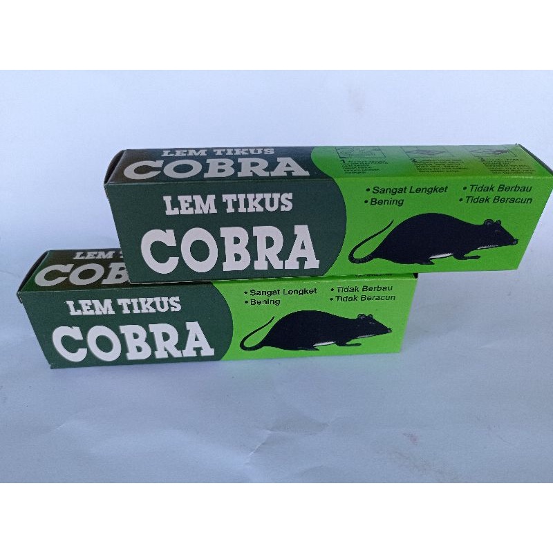 Jual Lem Tikus Cobra Asli Original Ampuh Lengket Kuat Murah Grosir ...