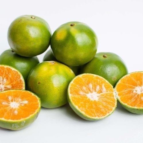 Jual Jeruk peras lokal super hijau 1kg | Shopee Indonesia