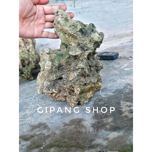 Jual batu karang penjing batu bonsai batu karang pegunungan | Shopee ...